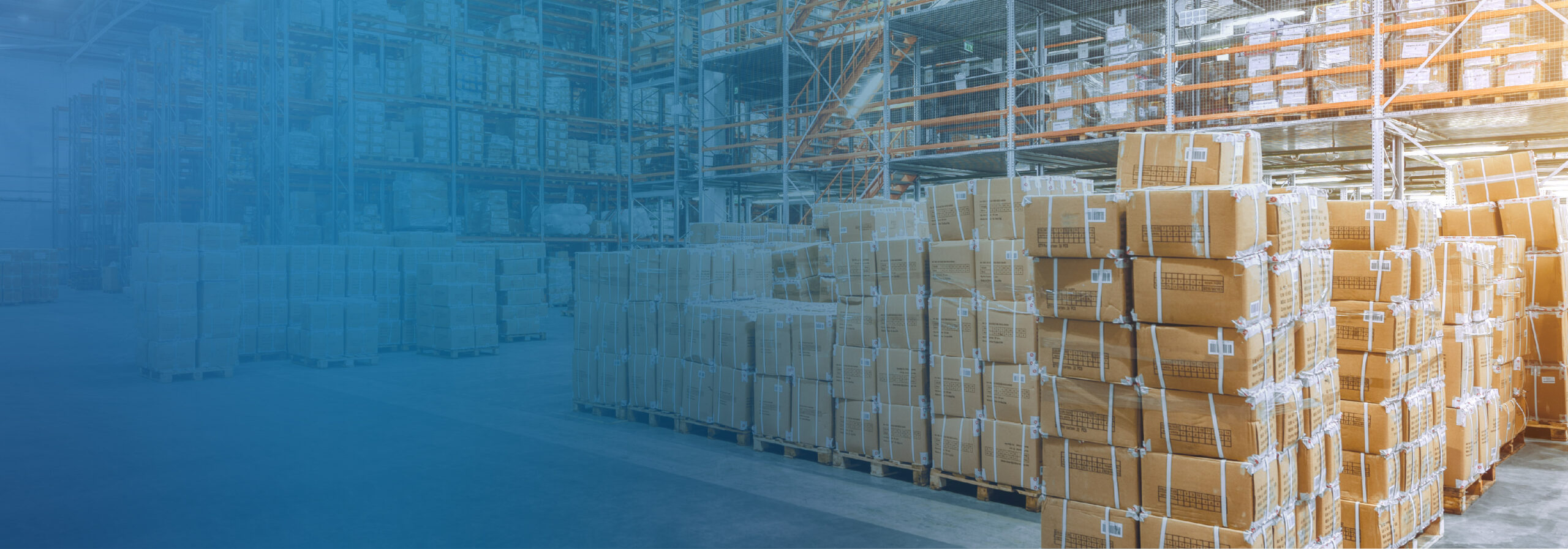 Warehouse Cleanout: How To Decide What Stays and What Goes