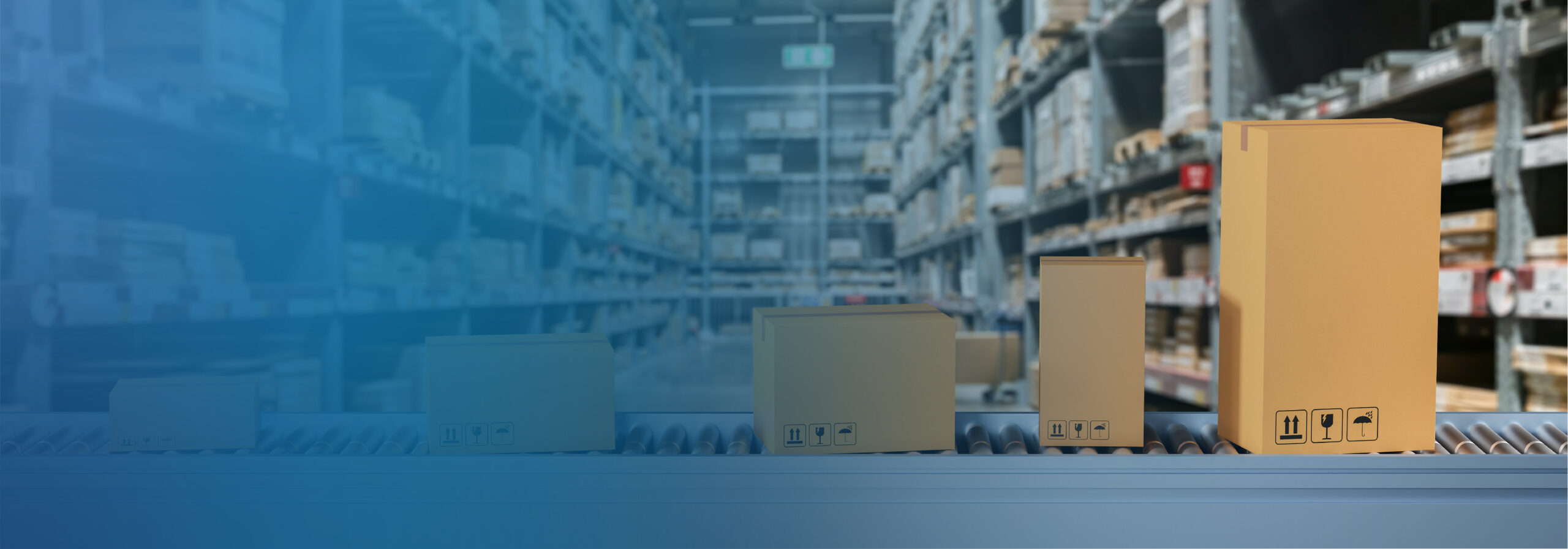 Warehouse Equipment Liquidator - How To Find The Best Fit